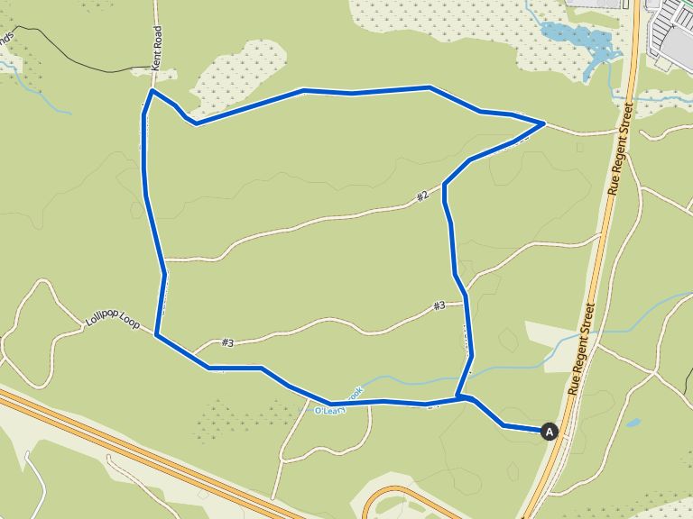 Back Road & Front Road loop — University of New Brunswick Woodlot ...